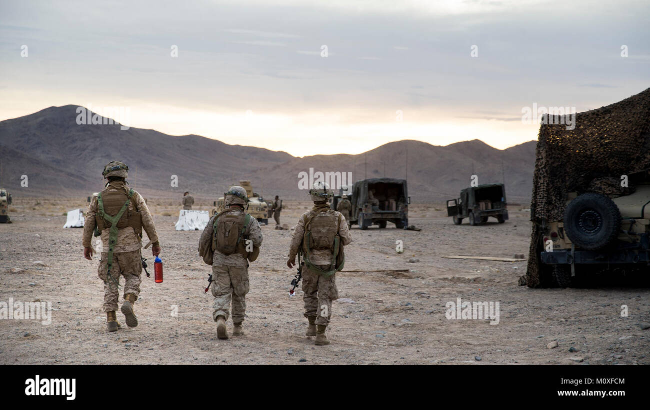 U.S. Marines assigned to 2nd Low Altitude Air Defense (LAAD) Battalion ...