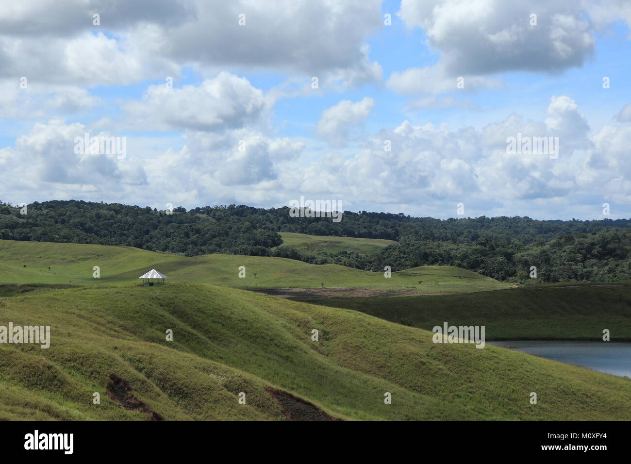 Love lake papua hi-res stock photography and images - Alamy
