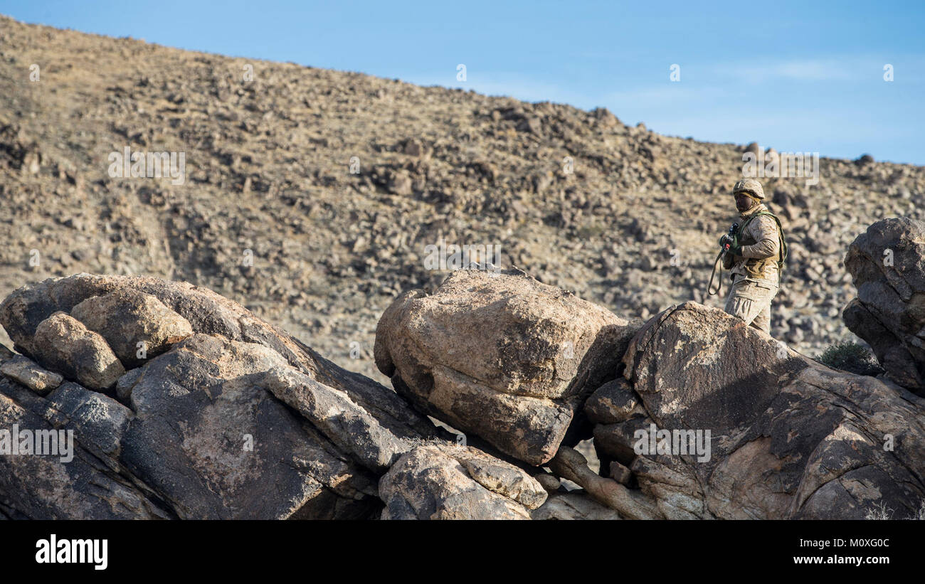 Low altitude air defence gunner hi-res stock photography and images - Alamy