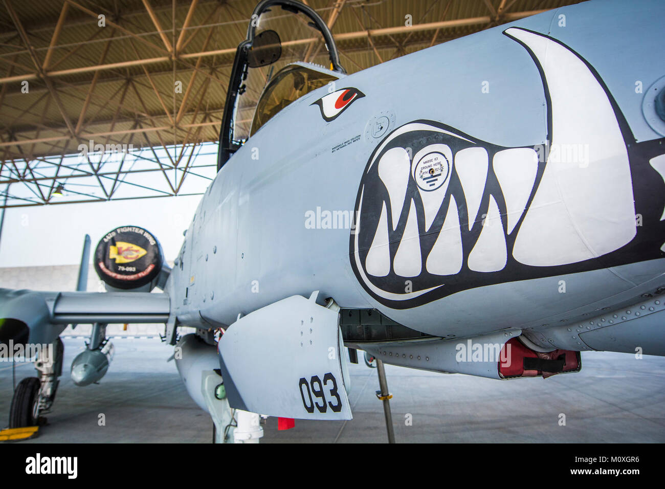 The 303rd Expeditionary Fighter Squadron landed a group of A-10 ...