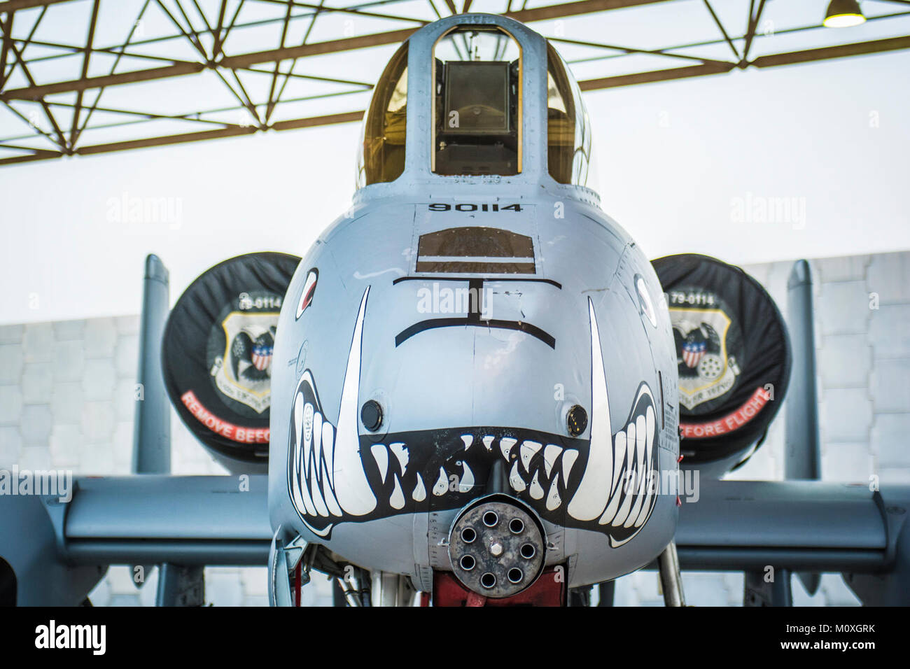 The 303rd Expeditionary Fighter Squadron landed a group of A-10 ...