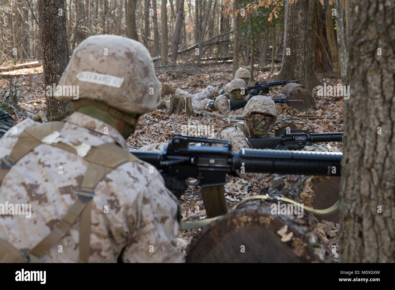 U.S. Marine Corps officer candidates participate in a fire team assault ...