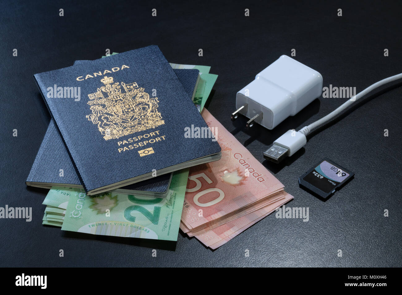 Canadian passports with Canadian dollars banknotes entered into ...