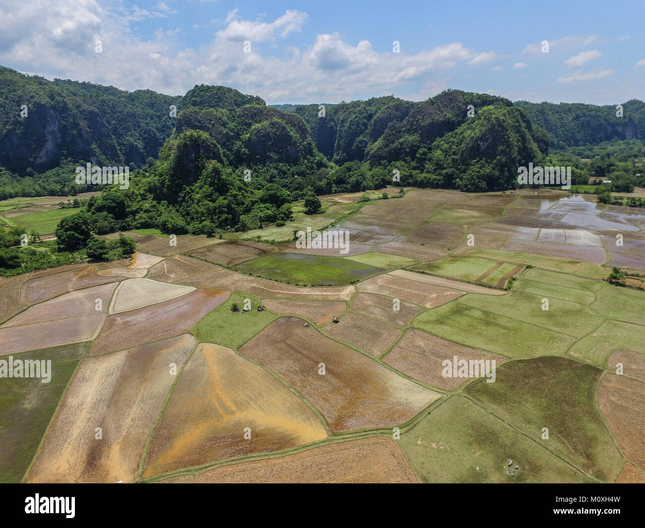 The karst mountain area in Leang Leang with rice field in the ...