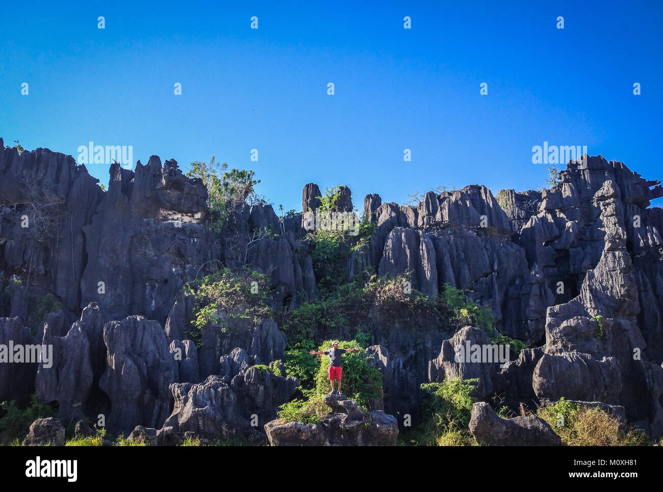 The Forest of Rock (Hutan Batu) in Rammang Rammang karst mountain. The ...