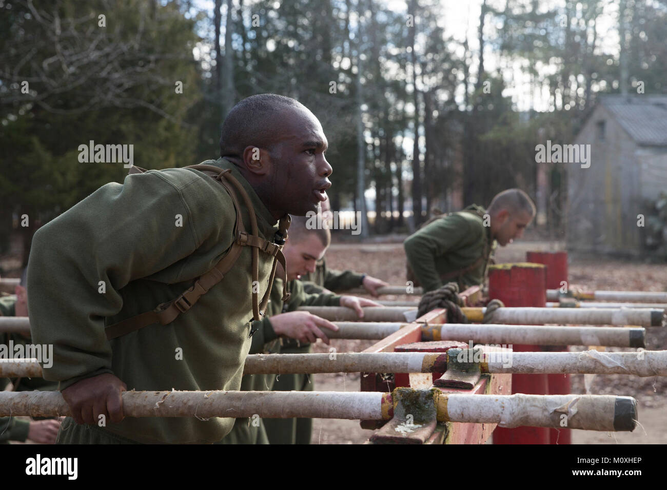 U.S. Marine Corps officer candidates perform dips during a muscular ...