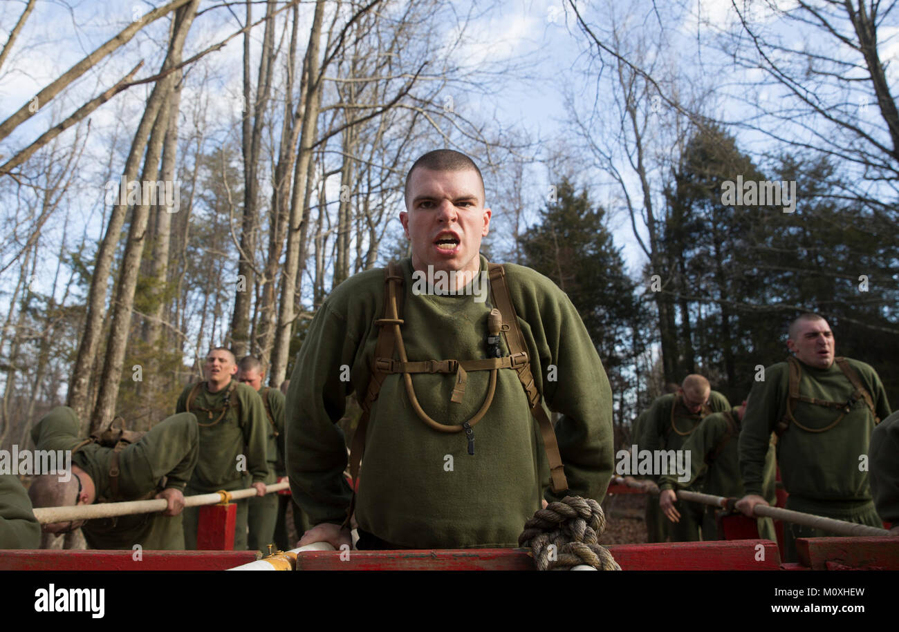 U.S. Marine Corps officer candidates perform dips during a muscular ...