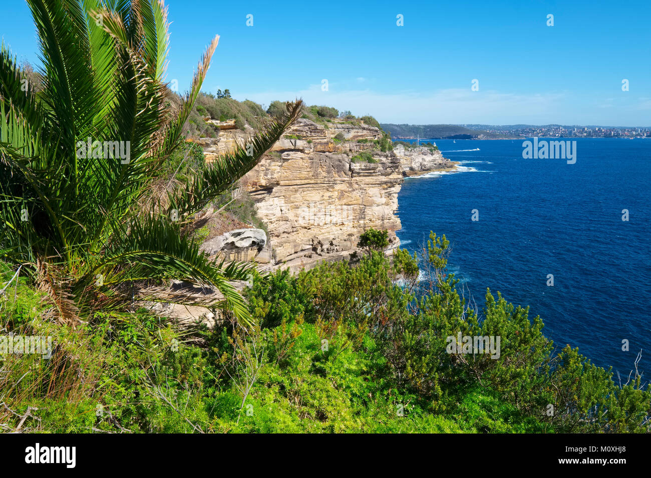High cliffs of South Head Reserve, view from Gap Bluff towards North ...