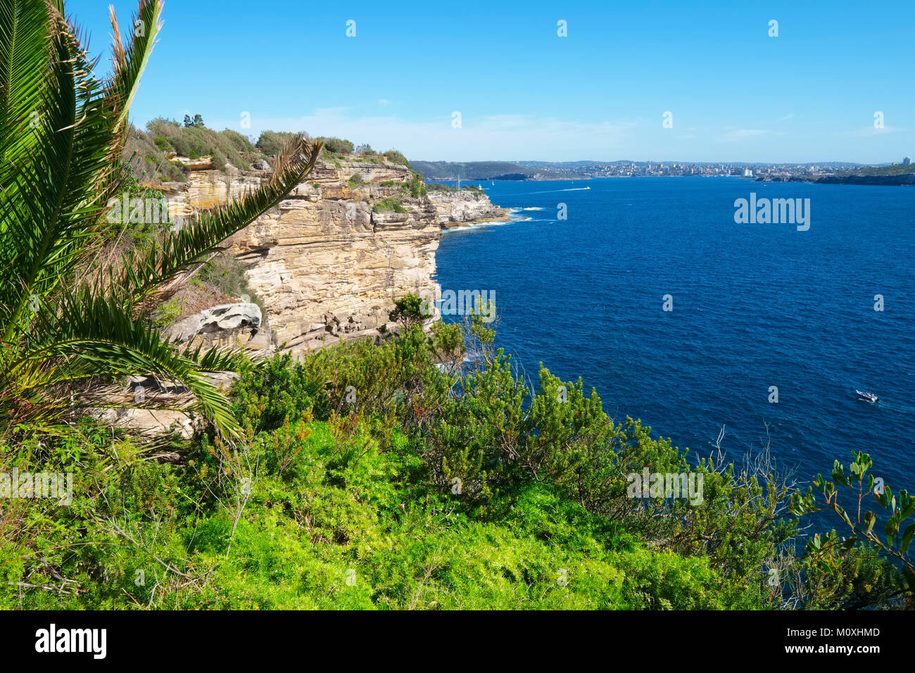 High cliffs of South Head Reserve, view from Gap Bluff towards North ...