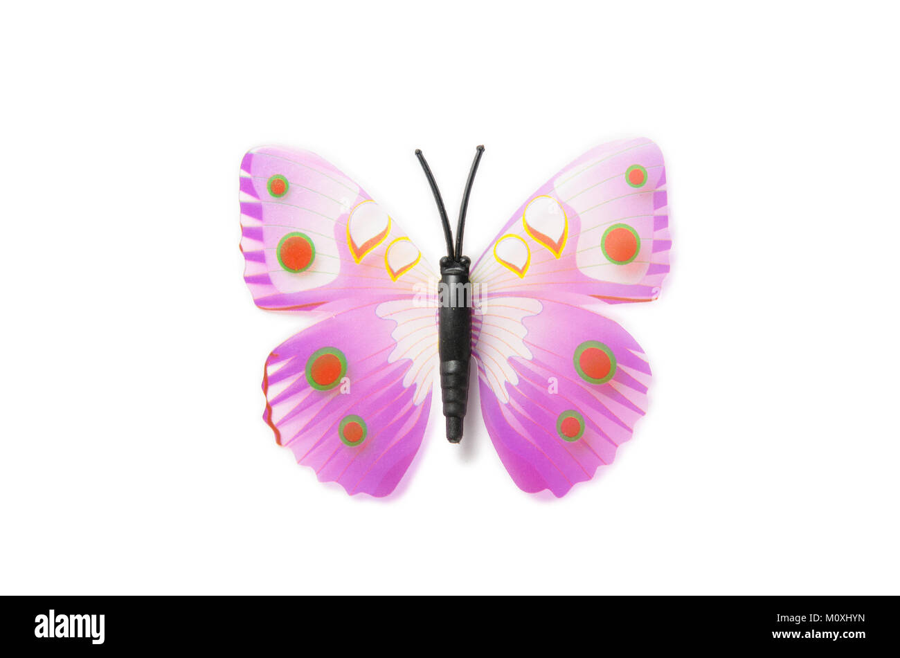 Colourful butterfly isolated on white background Stock Photo - Alamy