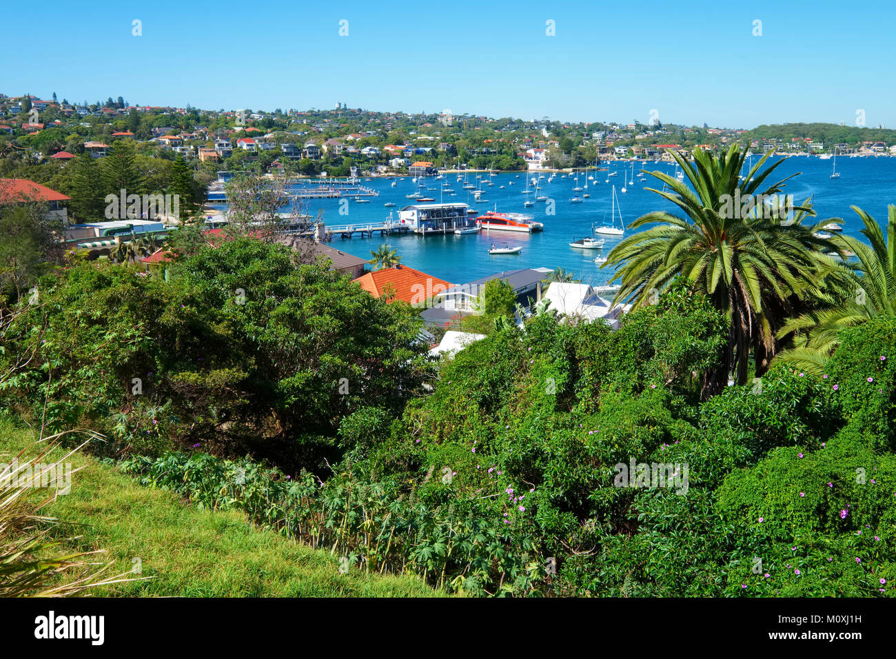 Watsons Bay with yachts and boats on a sunny day, South Head Reserve ...