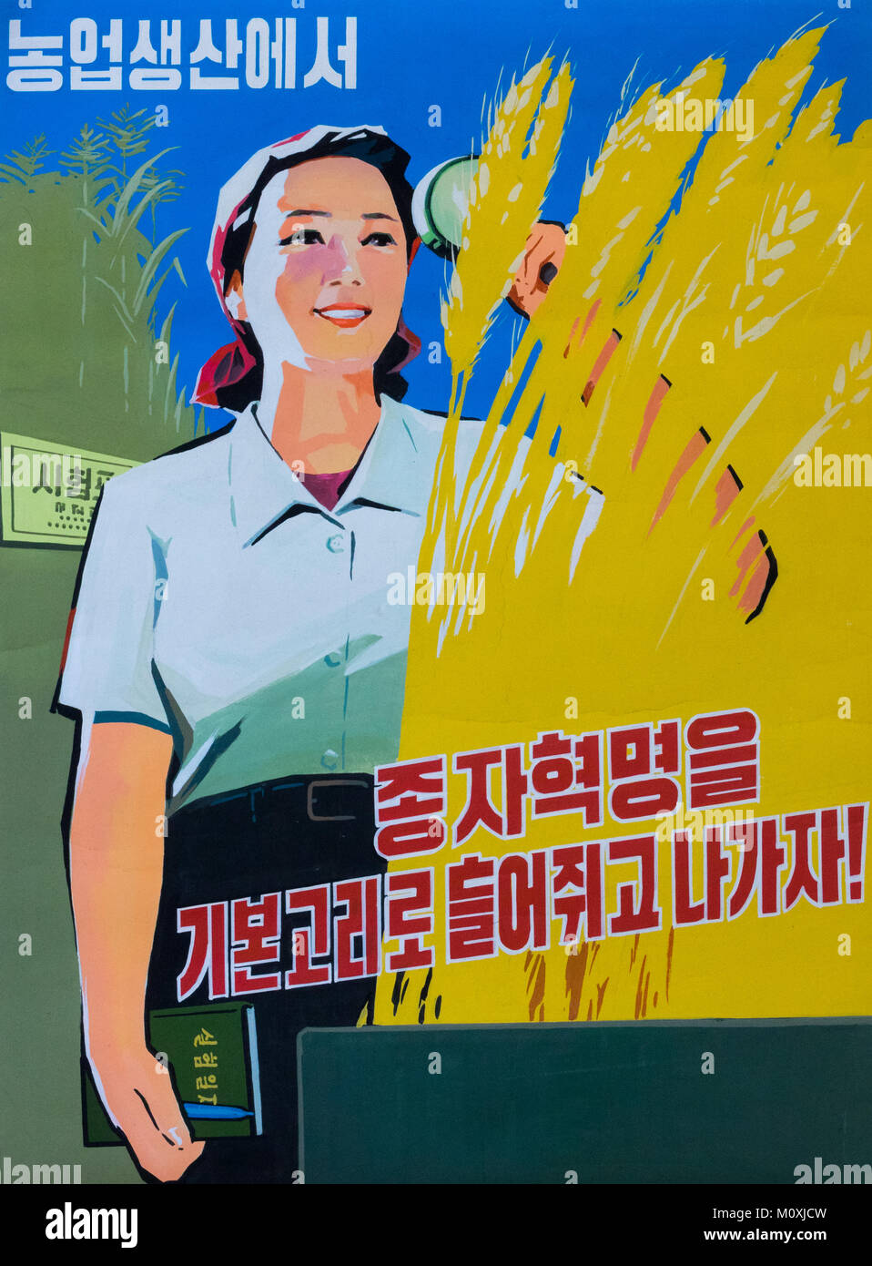 North Korean propaganda poster depicting a farmer woman, Pyongan ...