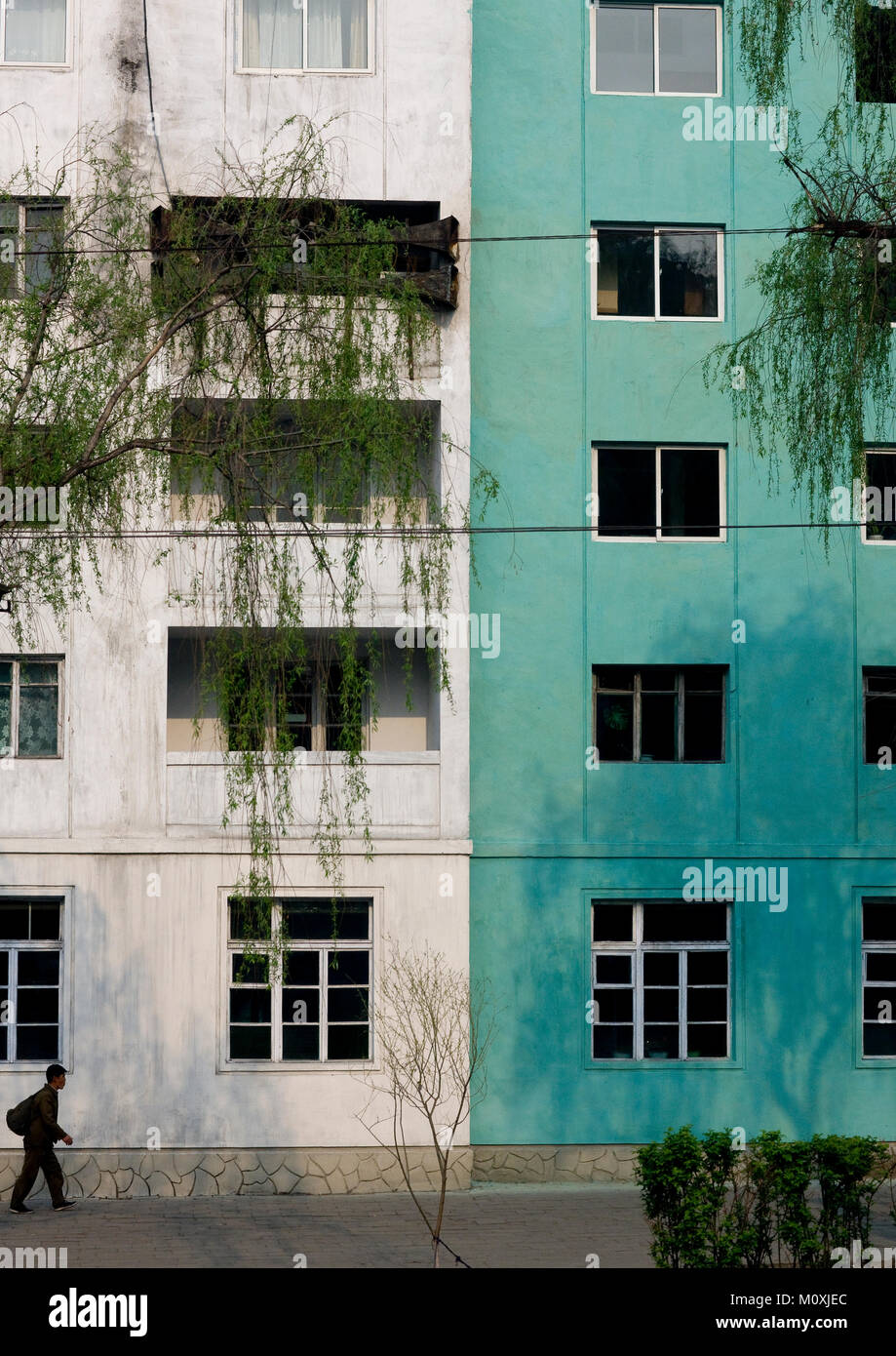 North Korean man passing in front of buildings, Pyongan Province ...