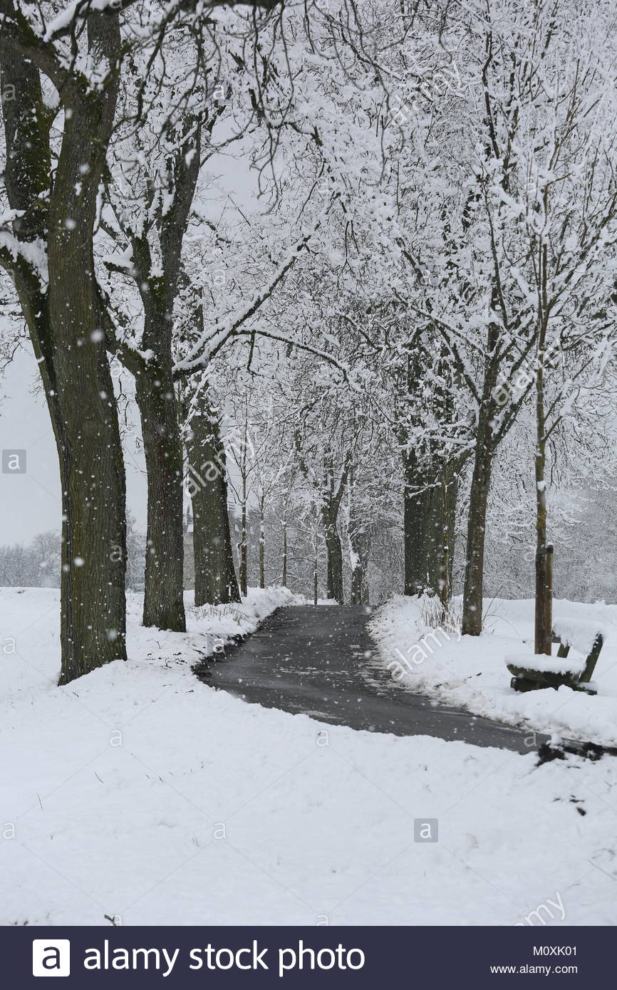 Colourful winter scene hi-res stock photography and images - Alamy