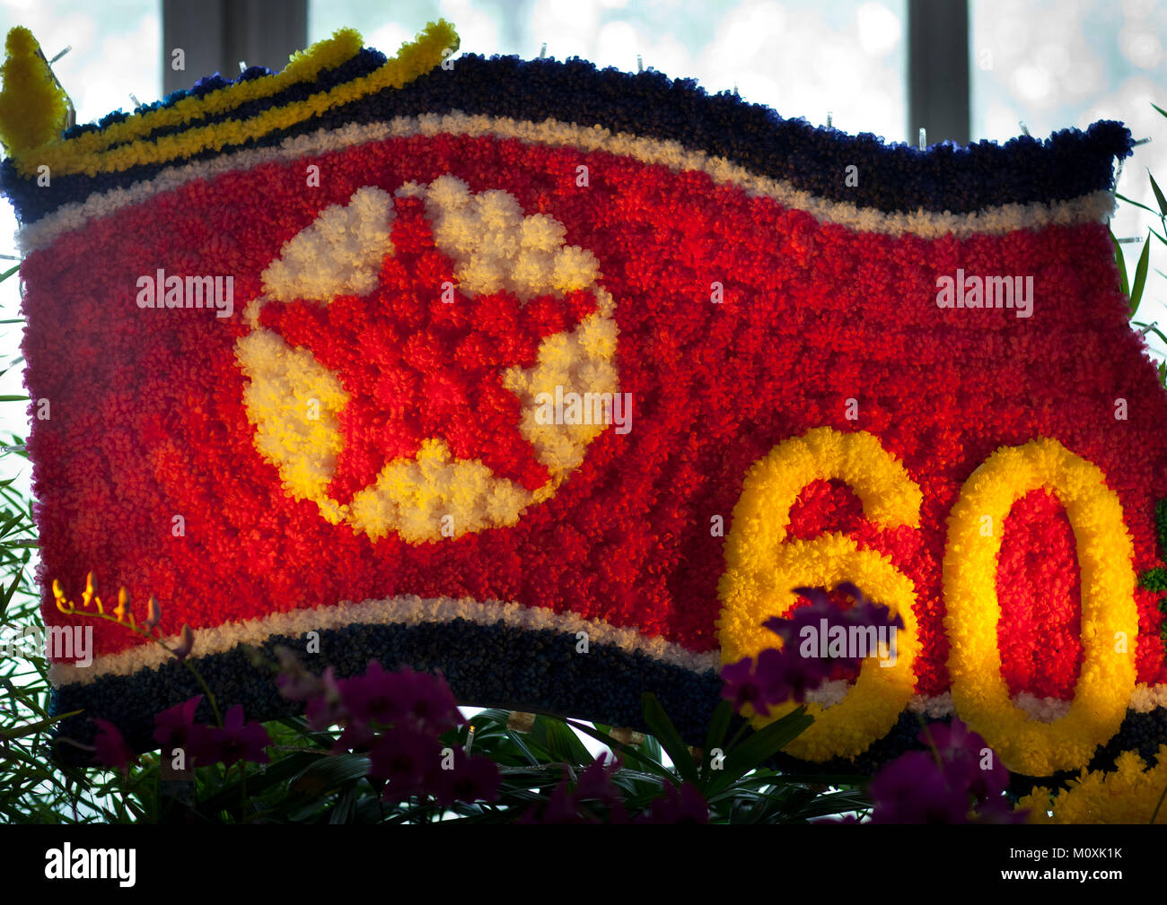 North Korean flag made with flowers for the celebration of the 60th ...