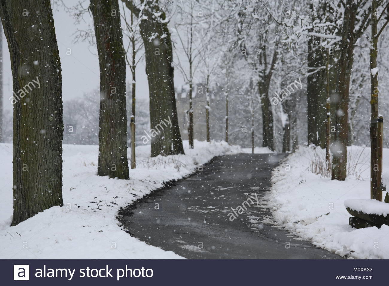 A path through snowy woods in Germany Stock Photo - Alamy