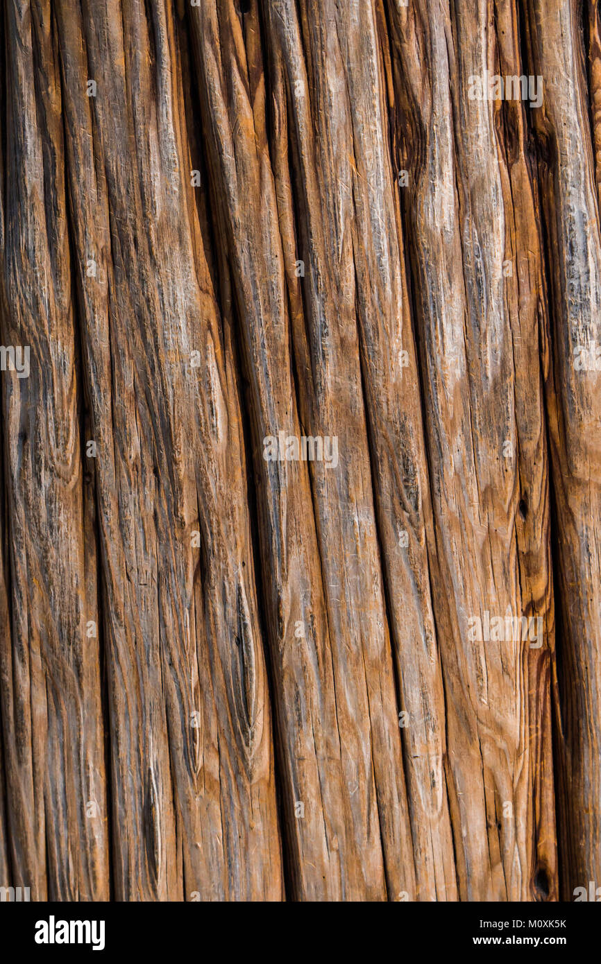 Close up an ancient tree in Japan revealing its textures Stock Photo ...