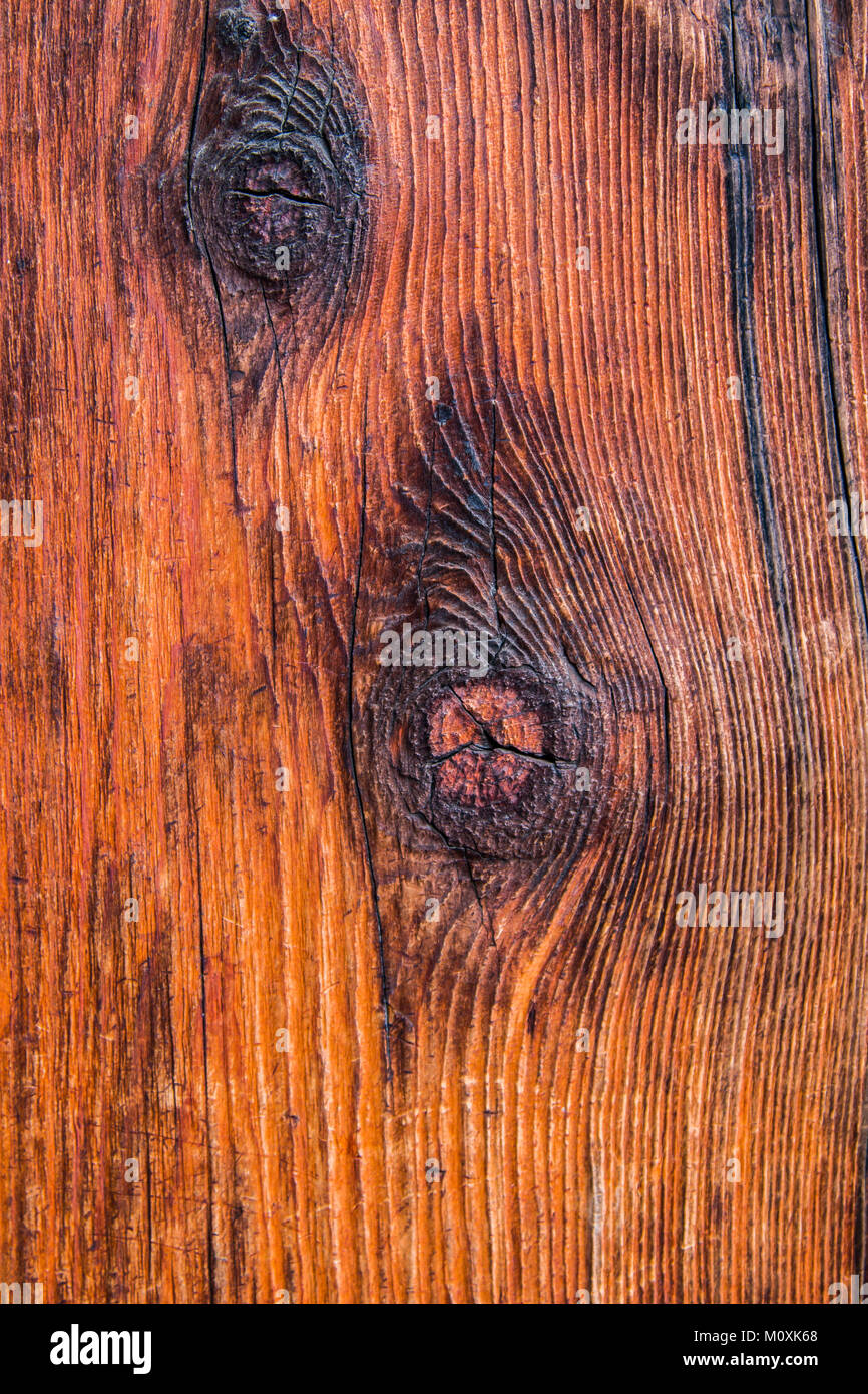 Close up an ancient tree in Japan revealing its textures Stock Photo ...