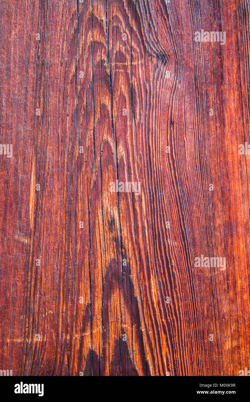 Close up an ancient tree in Japan revealing its textures Stock Photo ...