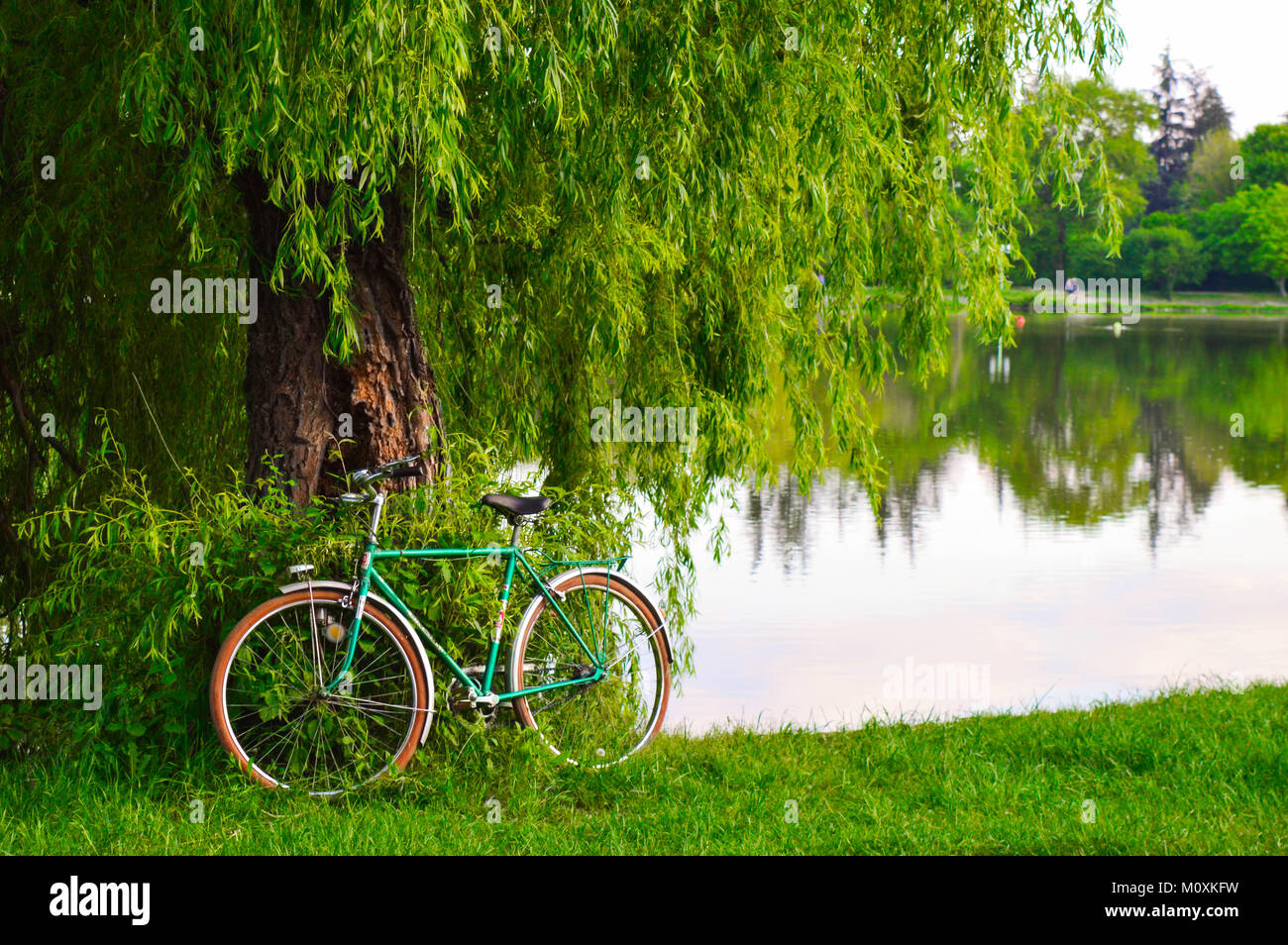 Bicycle in the green Stock Photo - Alamy