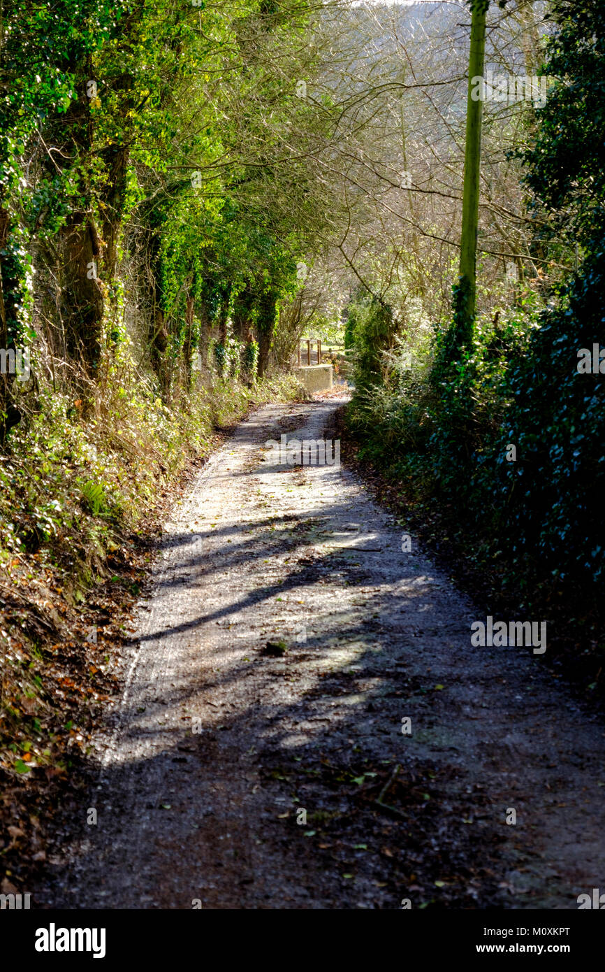 Longhope High Resolution Stock Photography and Images - Alamy