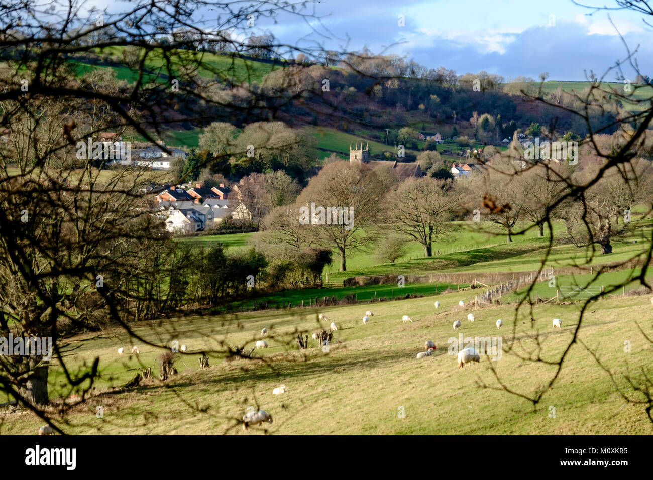 Longhope vilage in the Gloucestershire countryside. Looking down into ...