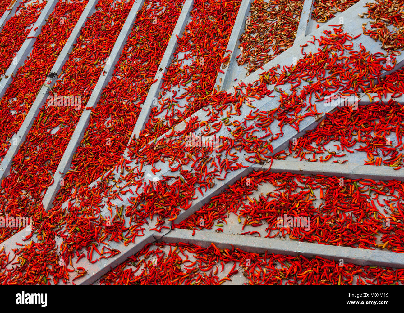 Kimchi spice drying in the street, North Hwanghae Province, Kaesong ...