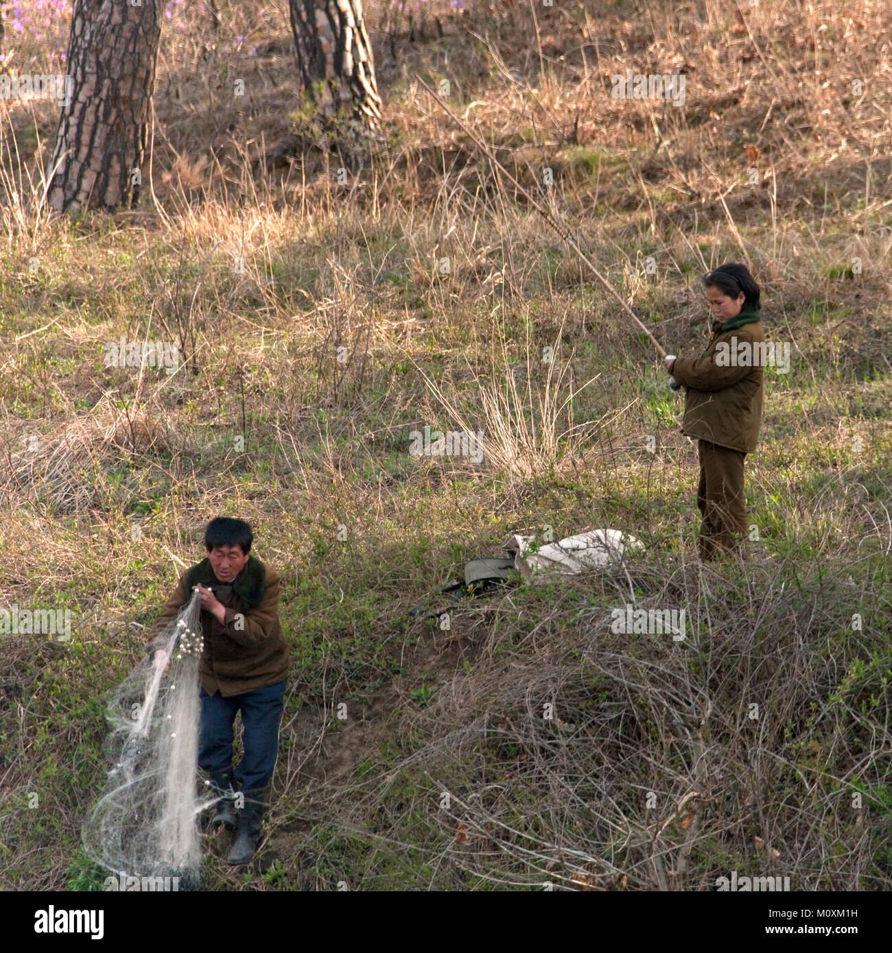 North Korean people fishing in a river, Kangwon Province, Wonsan, North ...