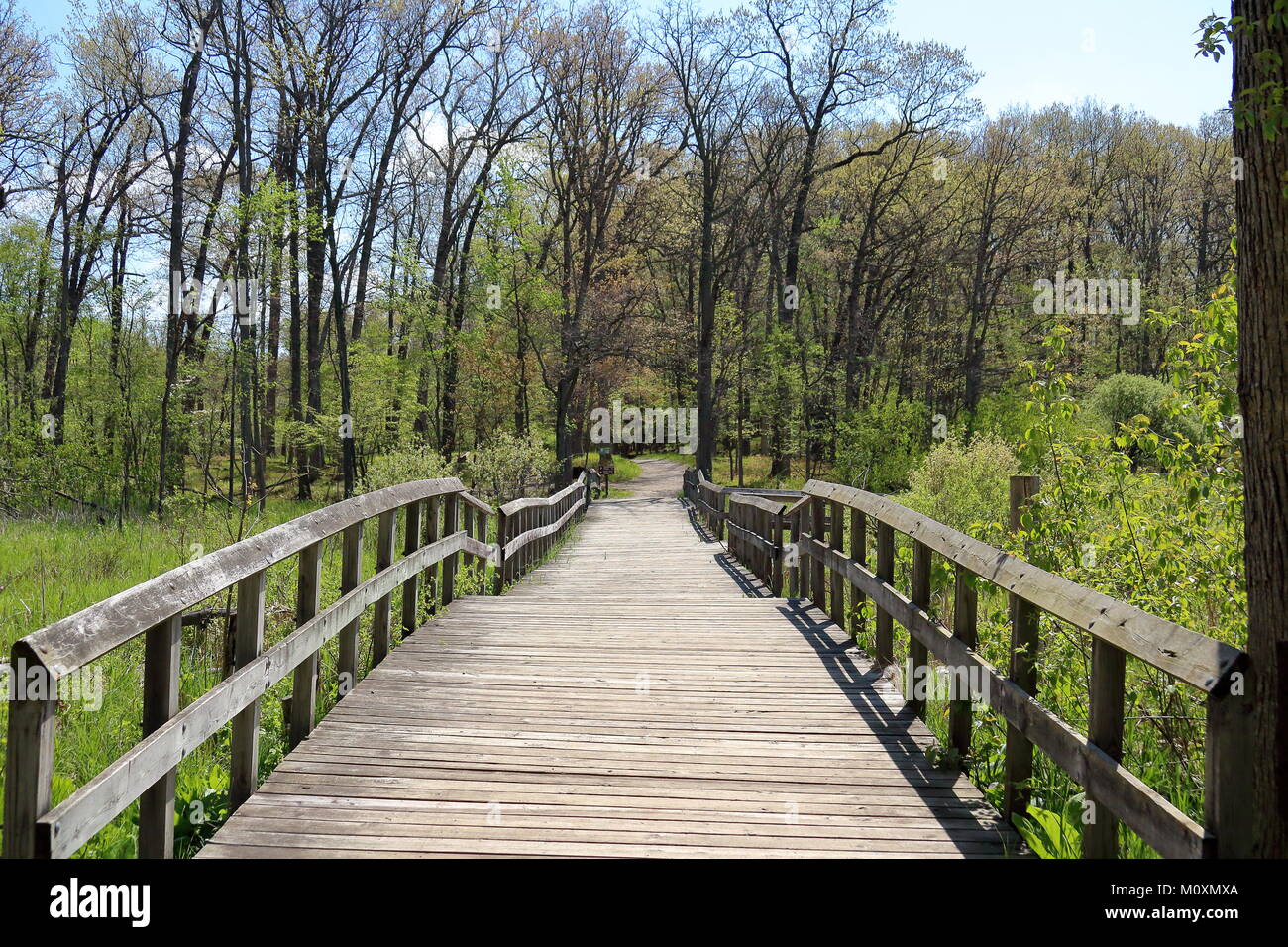 The boardwalk center hi-res stock photography and images - Alamy