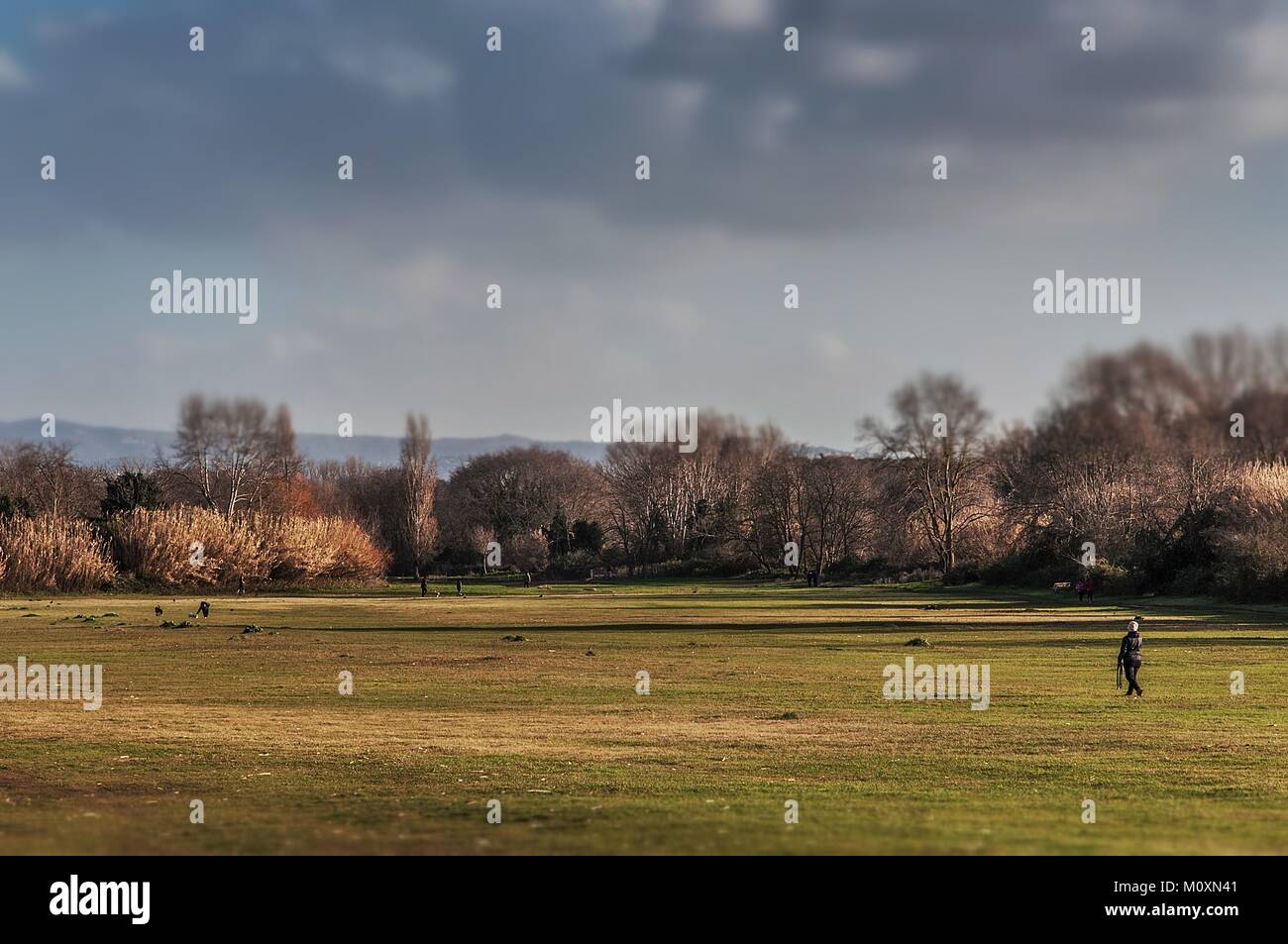 Meadow in the valley of caffarella Stock Photo - Alamy