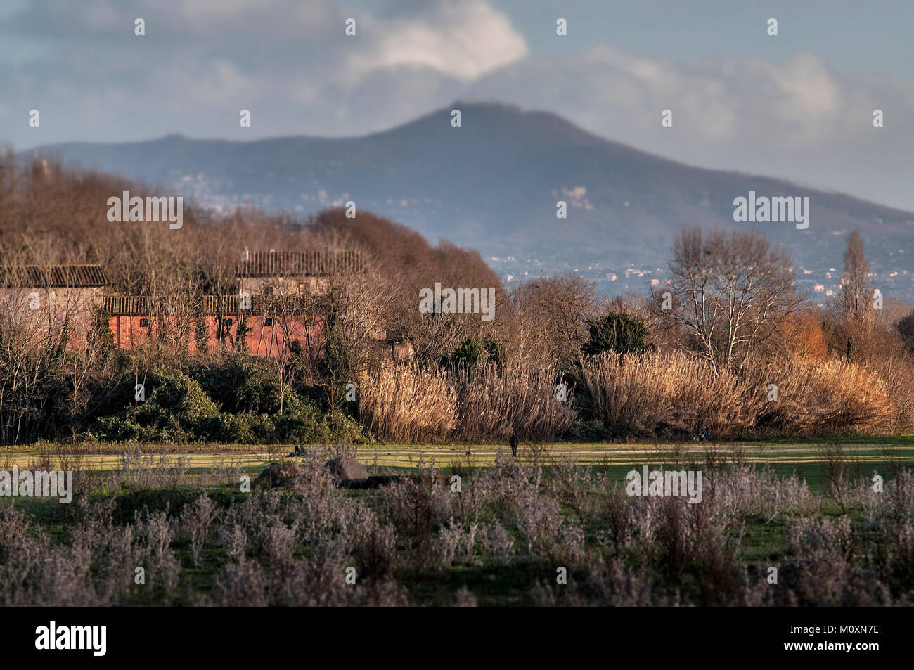 View of park of caffarella with mountain in the backgroud Stock Photo ...