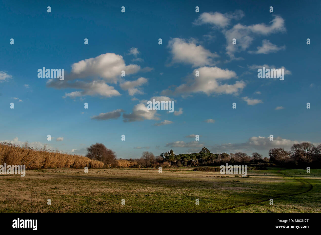 Park in the valley of caffarella Stock Photo - Alamy
