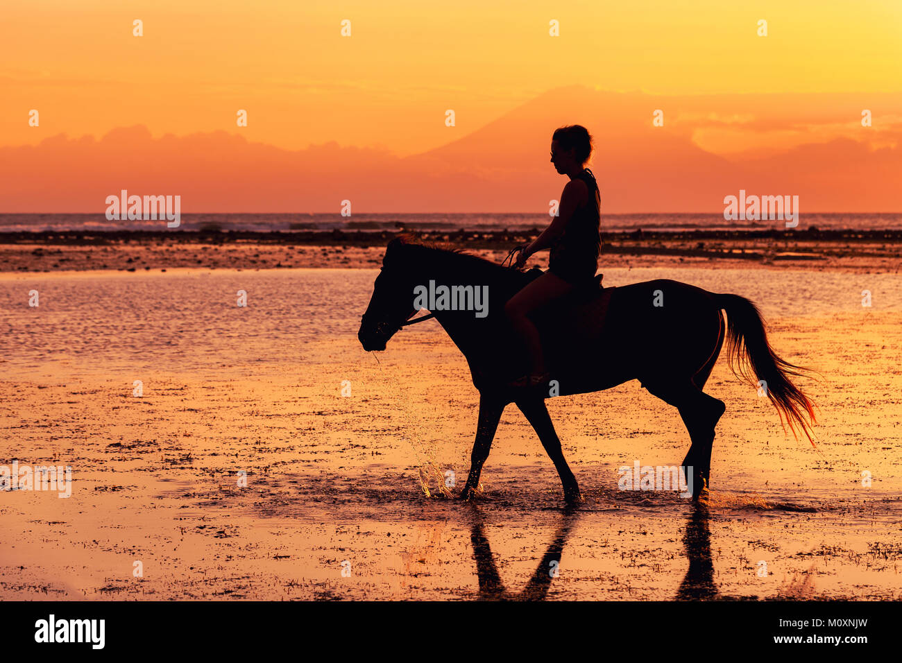 Dark silhouette of person riding horse in shallow water of seawater in ...