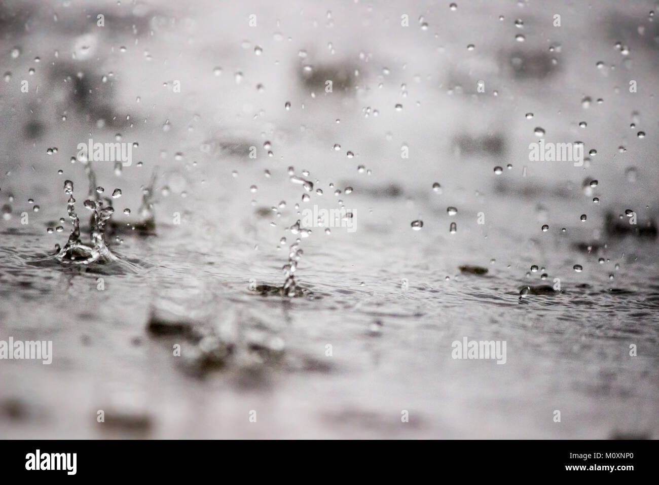Rain raindrops sad grey puddle hi-res stock photography and images - Alamy