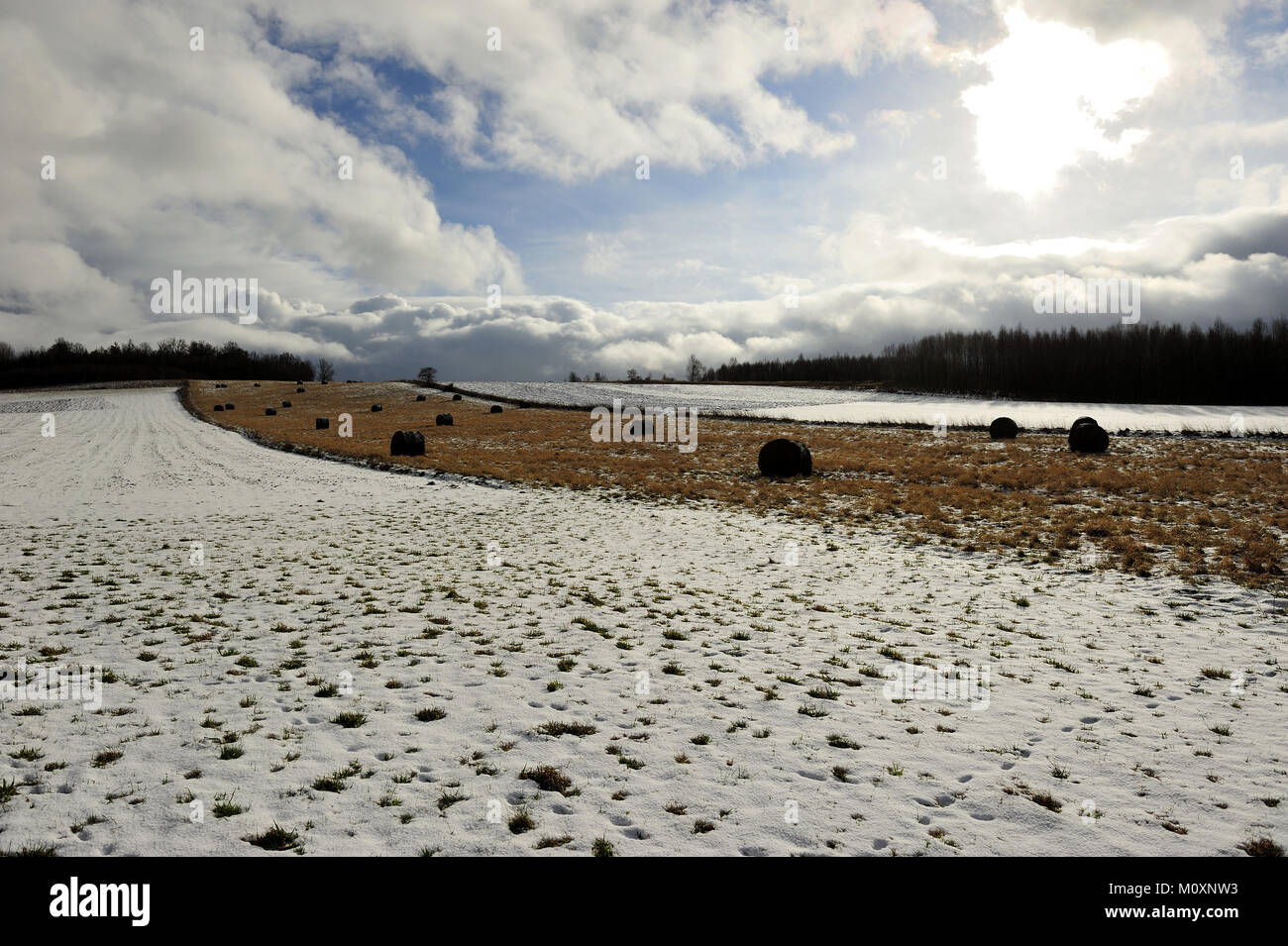 winter, weather, spring, sunny day, landscape, snow, agriculture, field ...