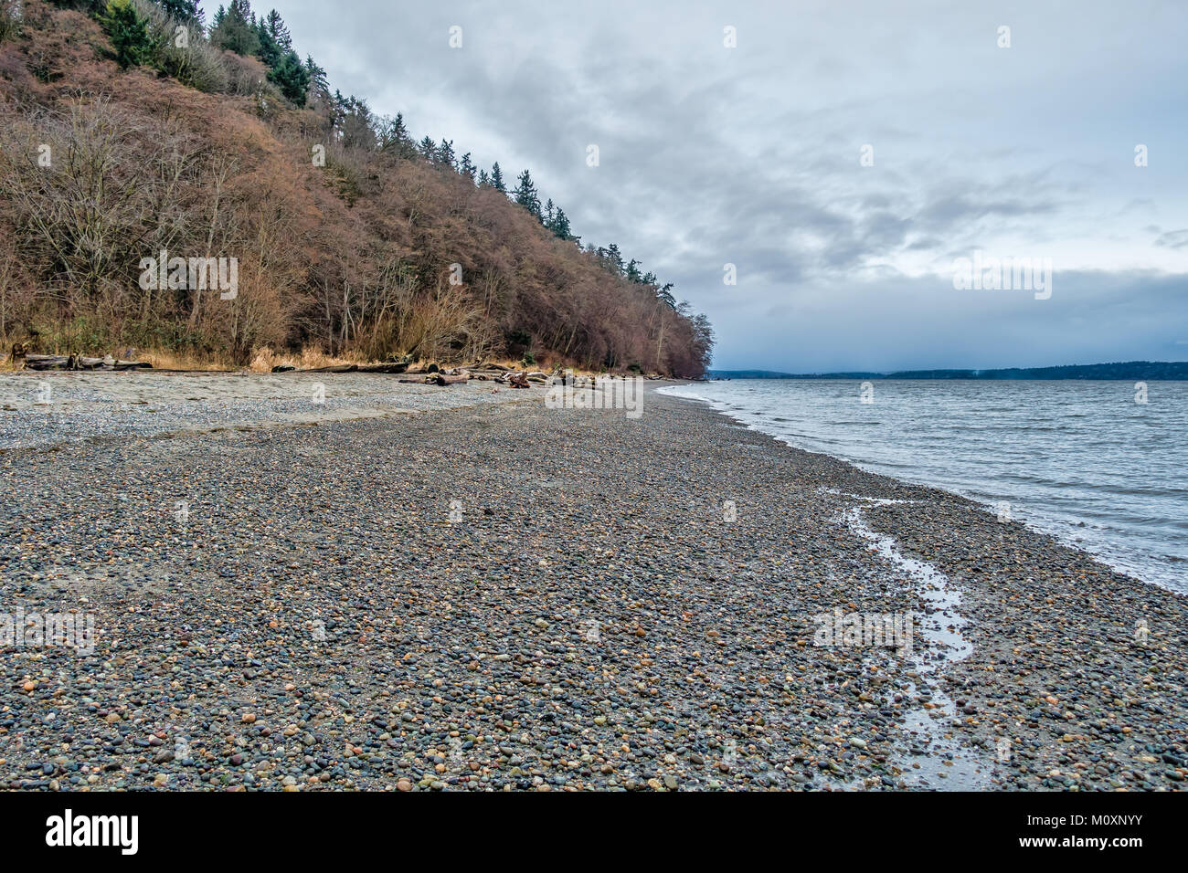 Aview of trees and the shoreline at Seahurst Park in Burien, Washingotn ...