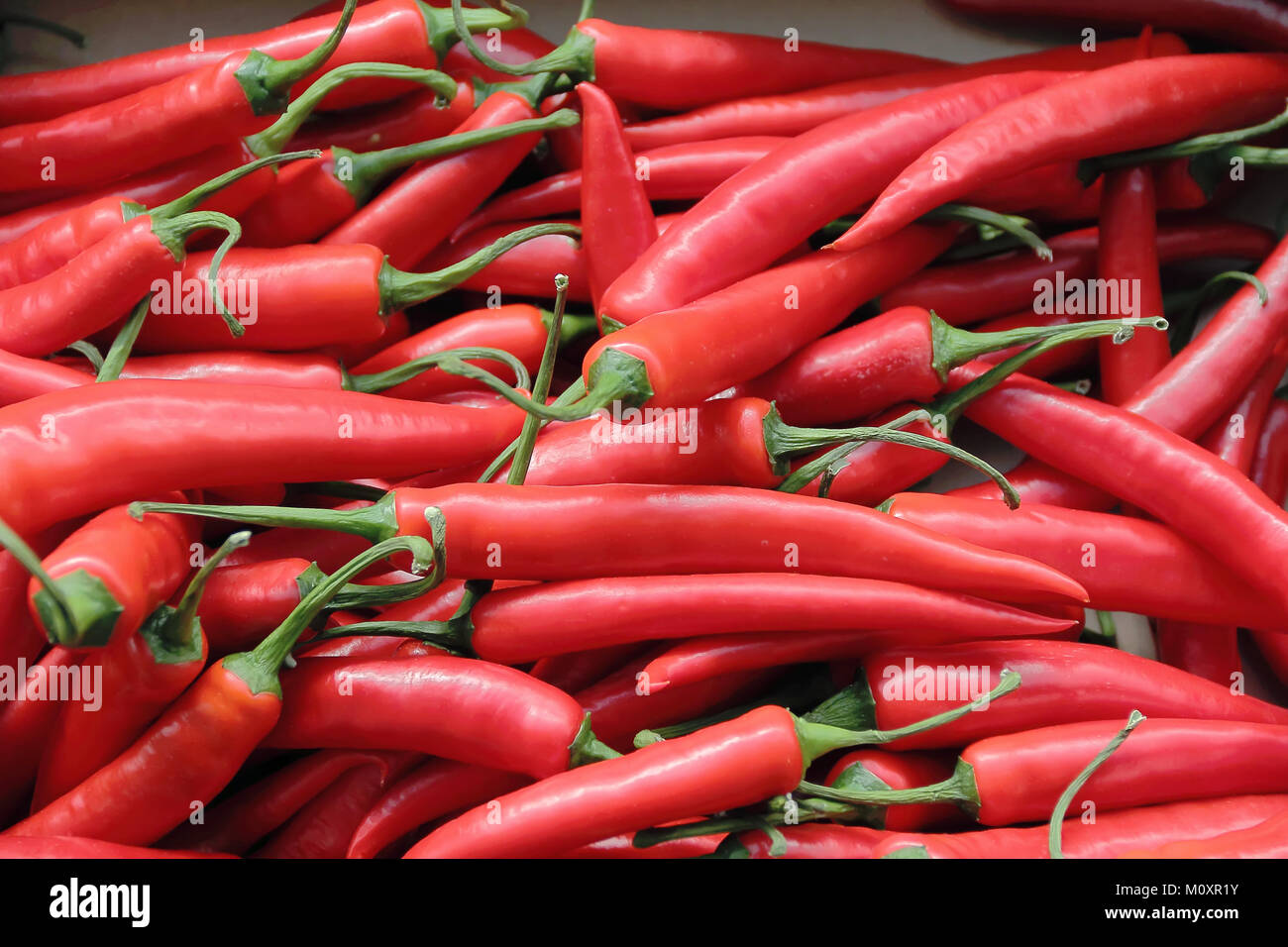 Image of background red hot chili peppers Stock Photo - Alamy