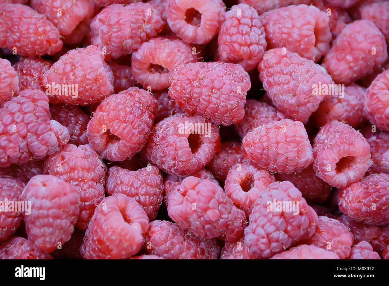 Image of the background fresh red raspberry Stock Photo - Alamy