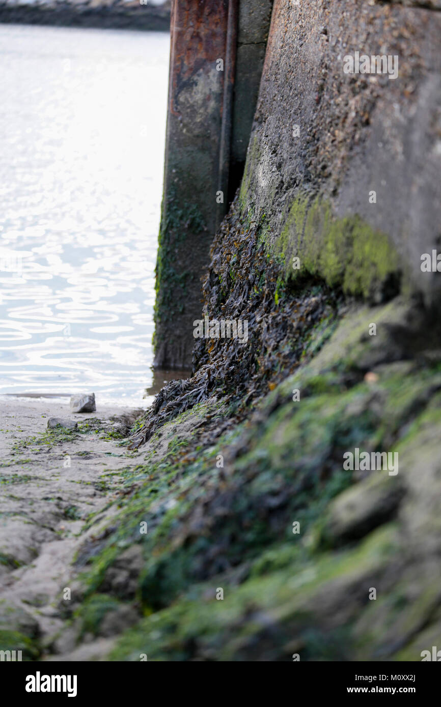 Rockleypark hi-res stock photography and images - Alamy