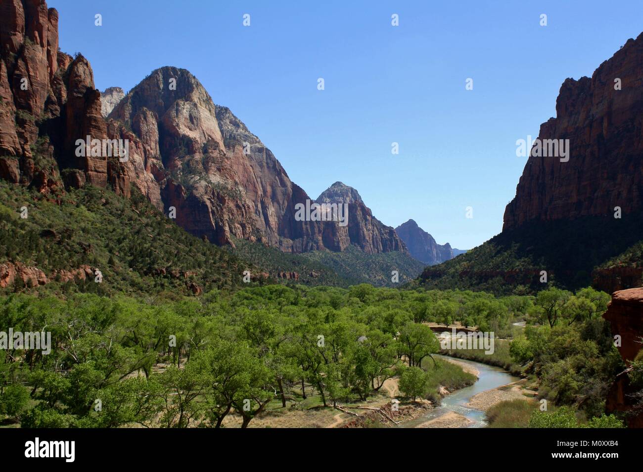Zion National Park, springtime Stock Photo - Alamy