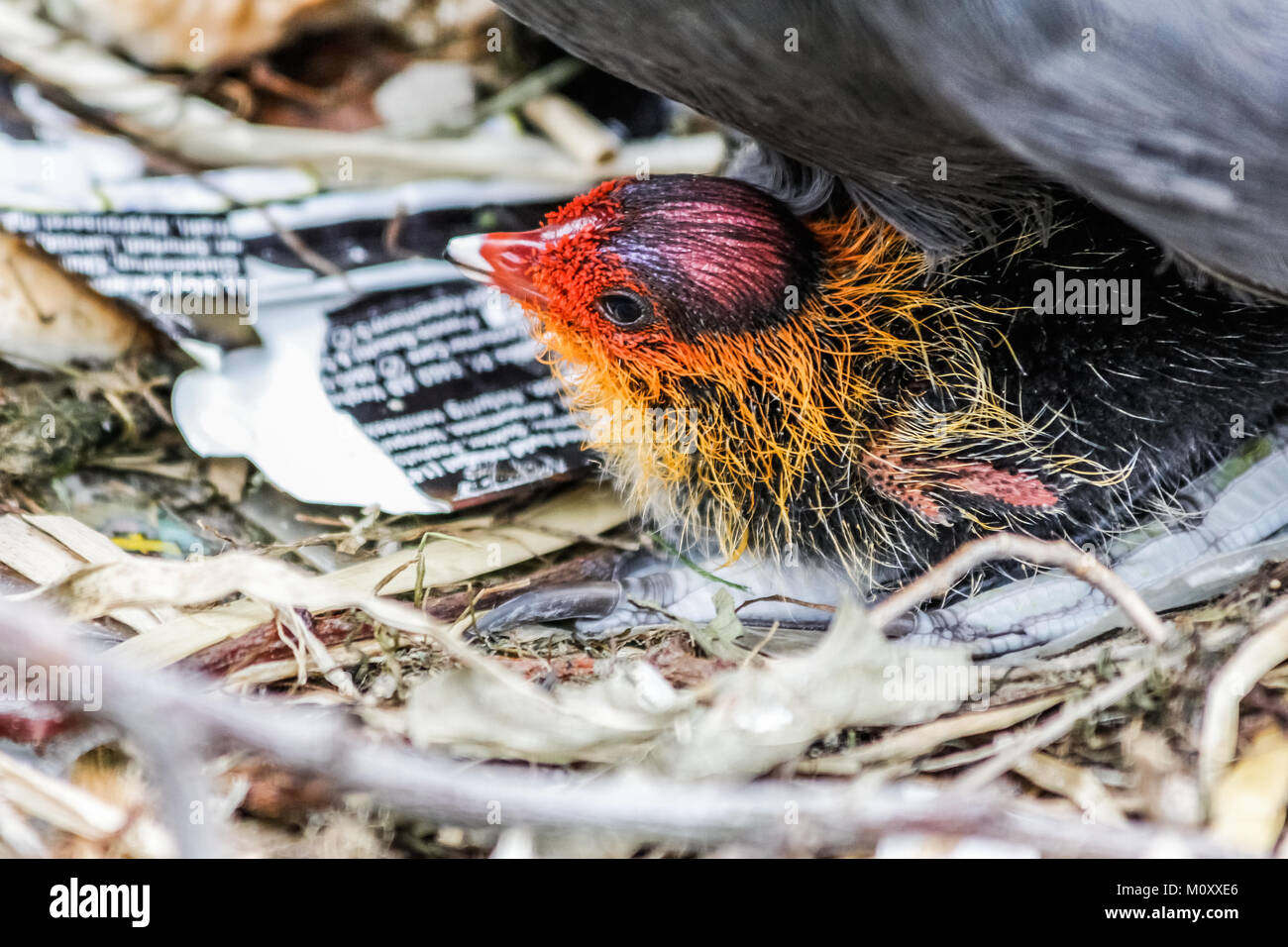 Child by canal hi-res stock photography and images - Alamy