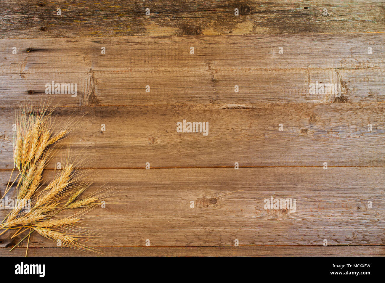 Wheat border frame autumn hi-res stock photography and images - Alamy