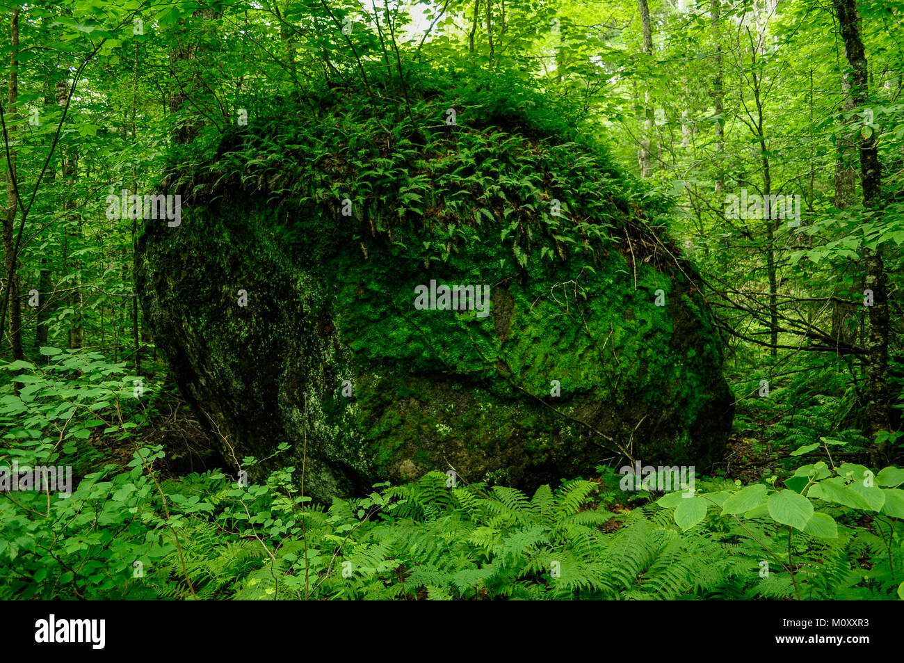 Hoffman notch hi-res stock photography and images - Alamy