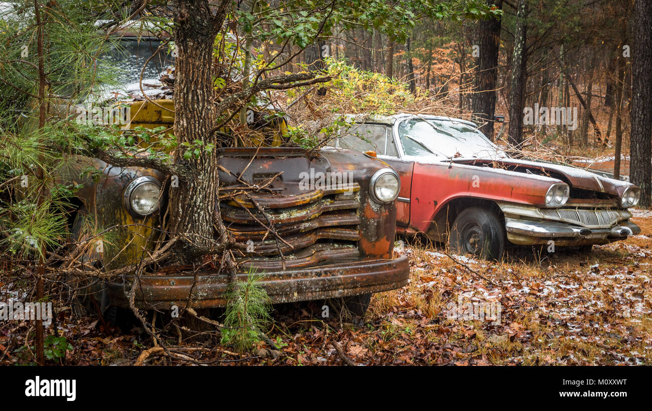 A car and a Truck with a tree growing out of the front Stock Photo - Alamy
