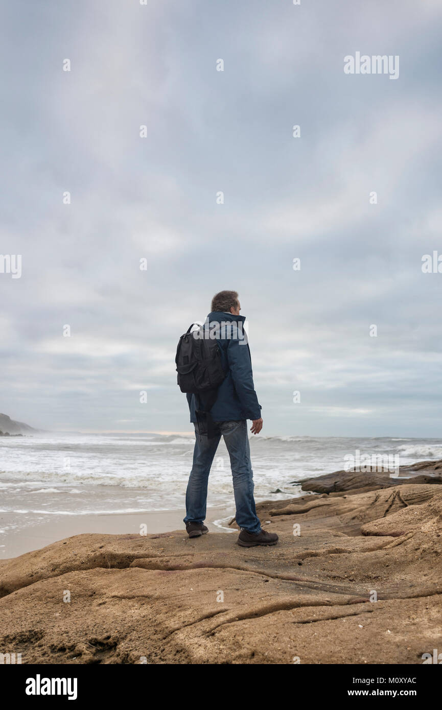 Back view of man standing on rock looking at horizon hi-res stock ...