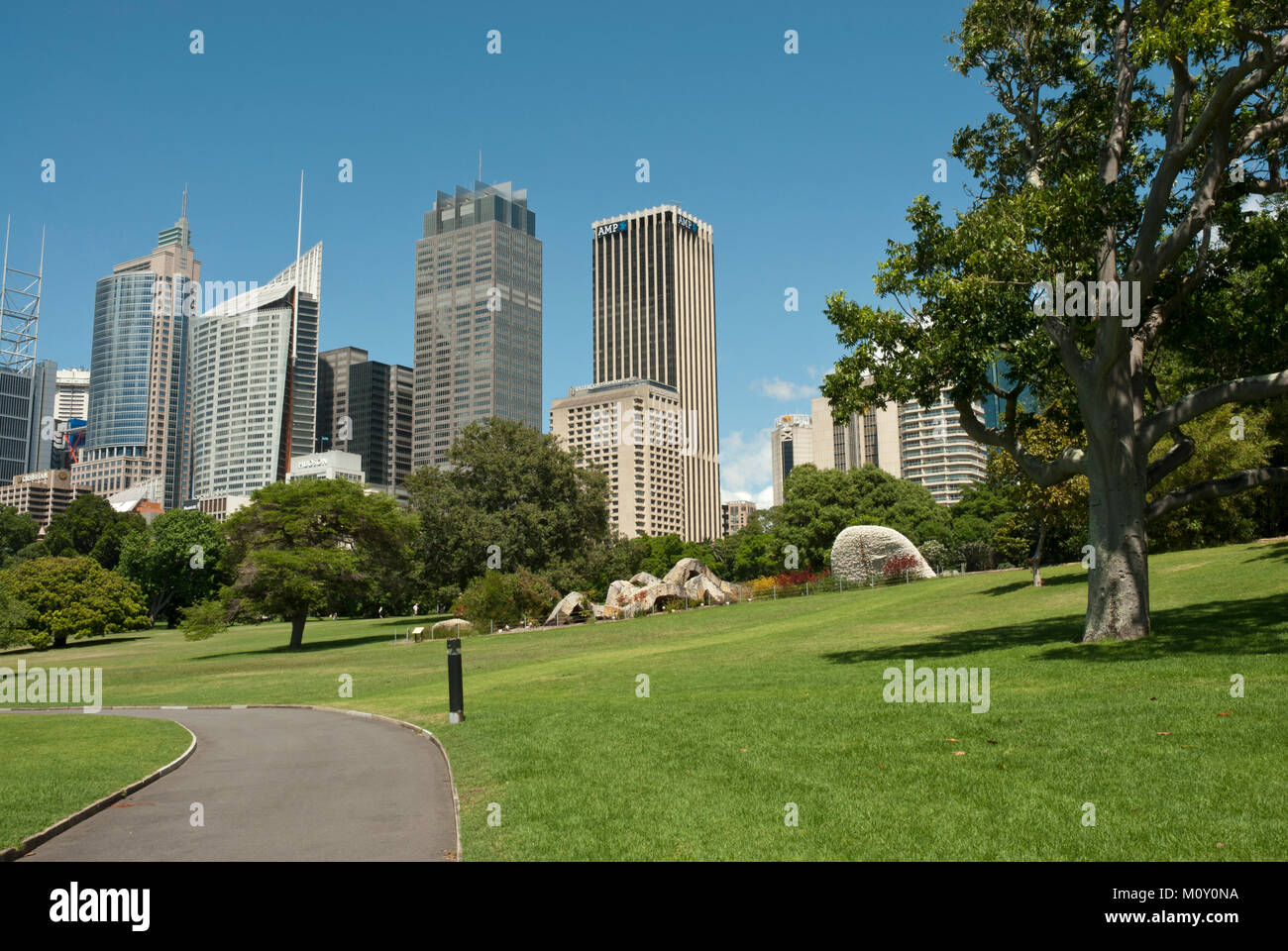 The Royal Botanic Garden, Sydney, sunny, blue sky with the high rise ...
