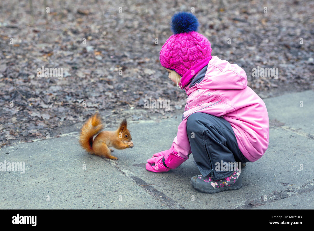 Little girl feeding squirrel with nuts in forest Stock Photo - Alamy