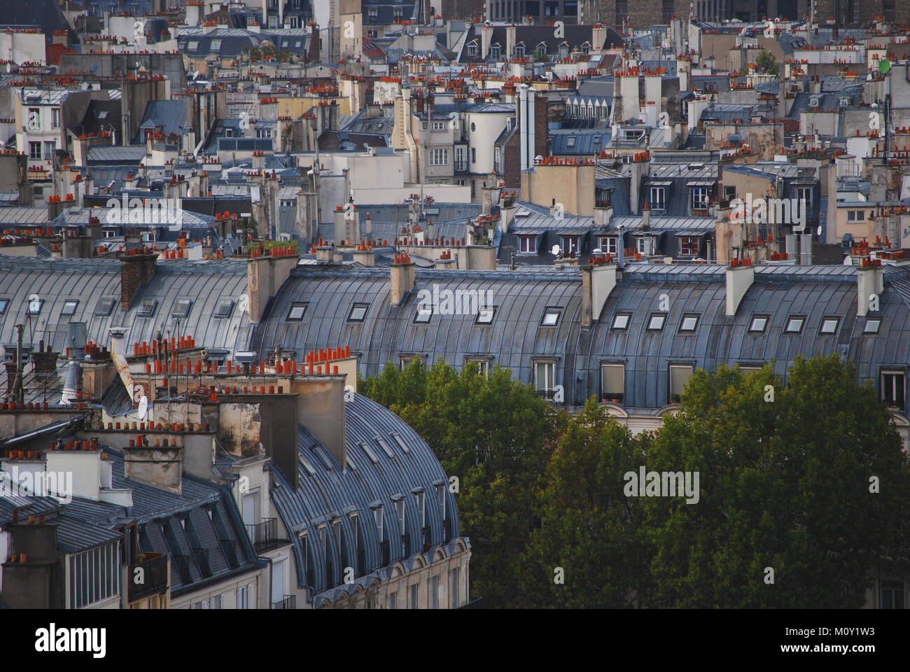Typical Paris roof tops across the Paris skyline Stock Photo - Alamy