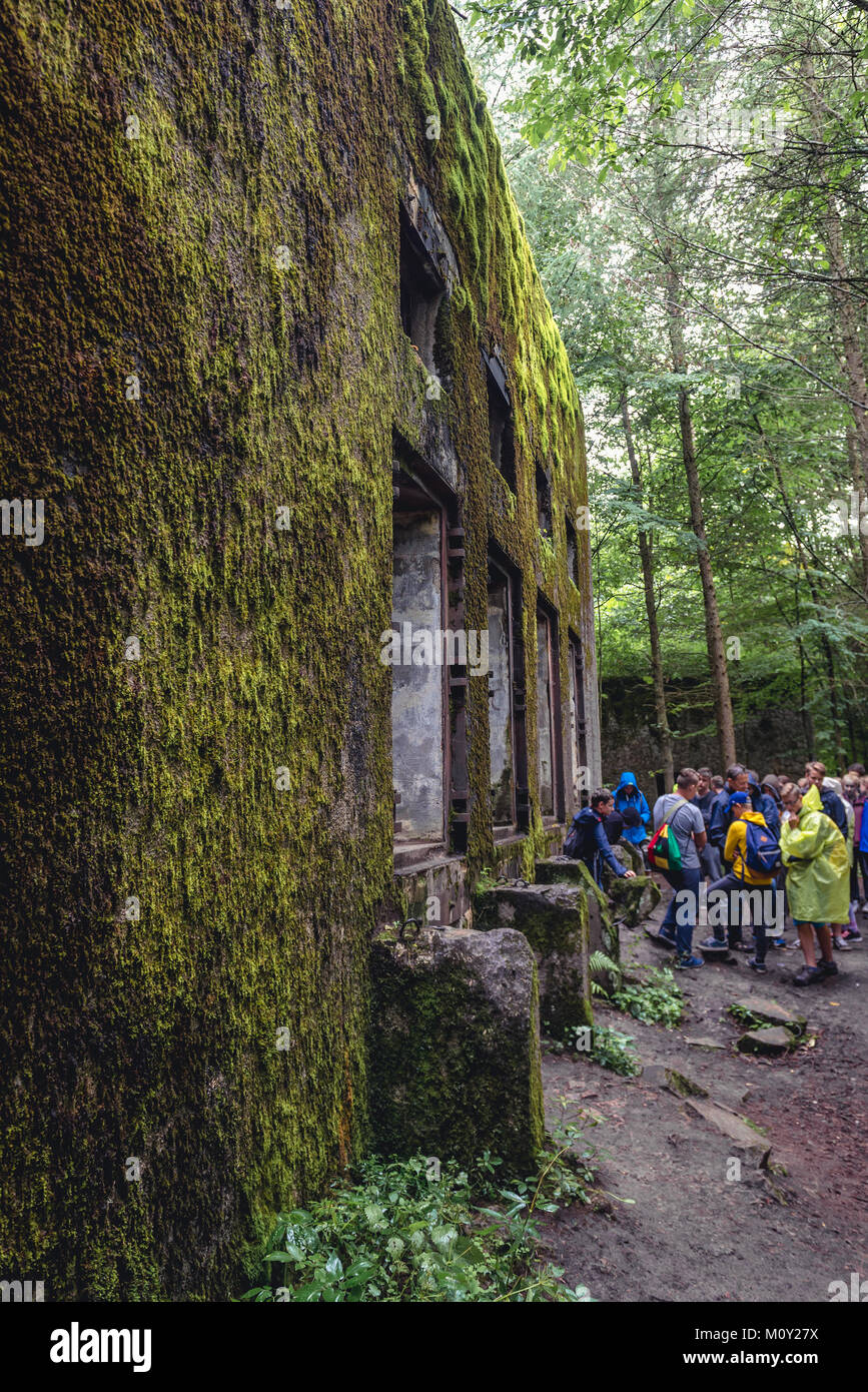 Bunker covered with moss in Mamerki (German: Mauerwald) bunker complex ...