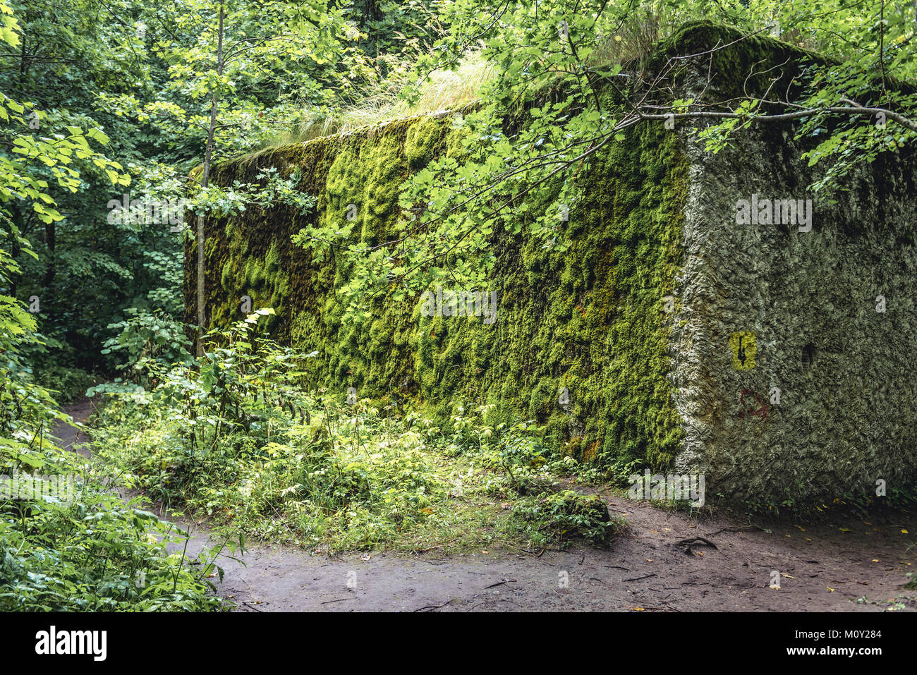 Bunker covered with moss in Mamerki (German: Mauerwald) bunker complex ...